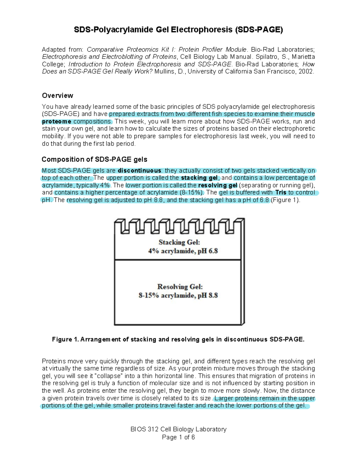 SDS - PAGE Lab 2 - bio - SDS-Polyacrylamide Gel Electrophoresis (SDS ...