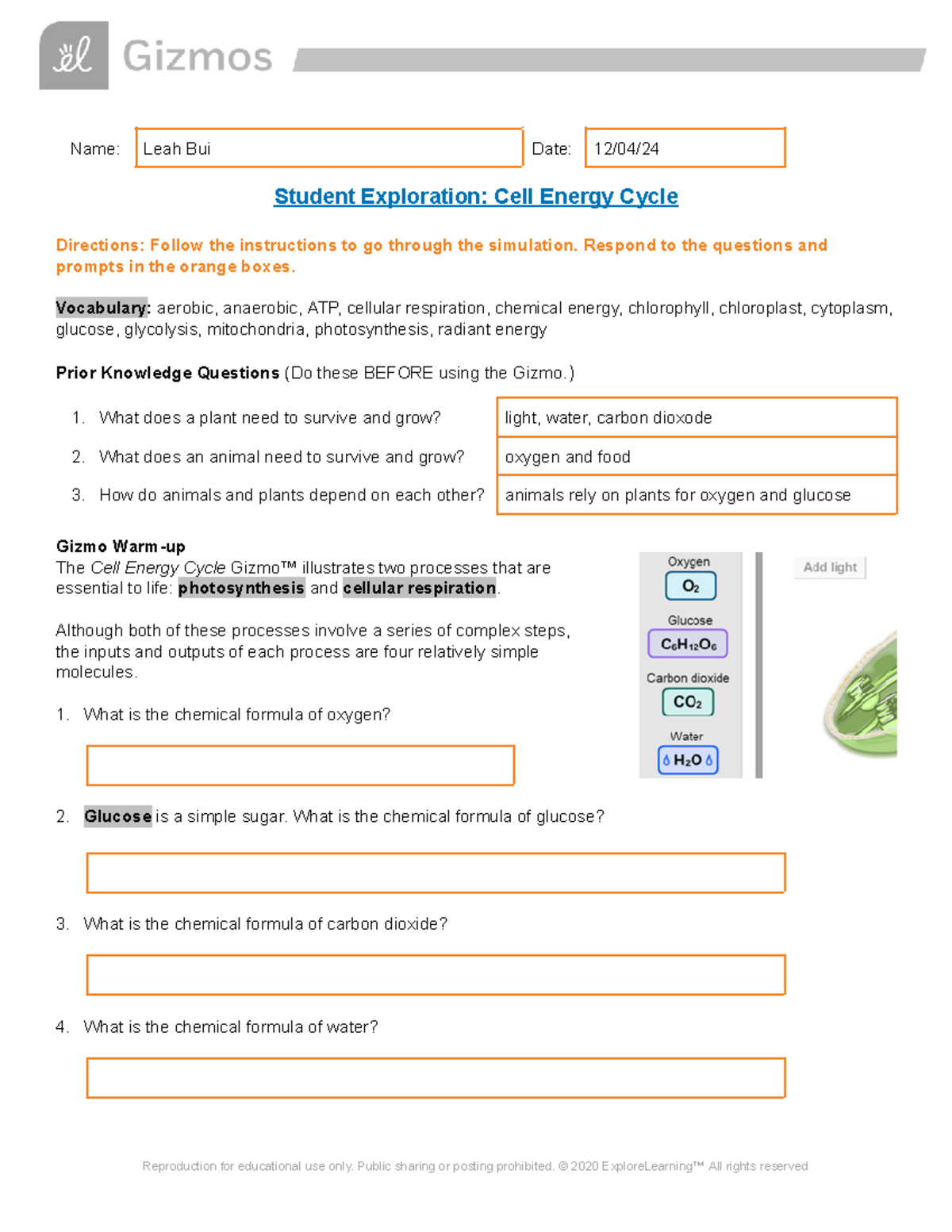 Copy of Cell Energy SE - Name: Leah Bui Date: 12/04/ Student ...