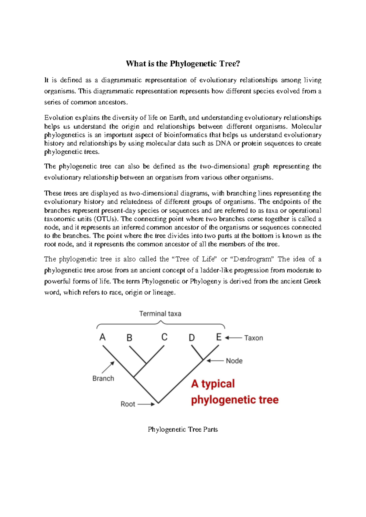 Phylogenetic Tree notes - What is the Phylogenetic Tree? It is defined ...
