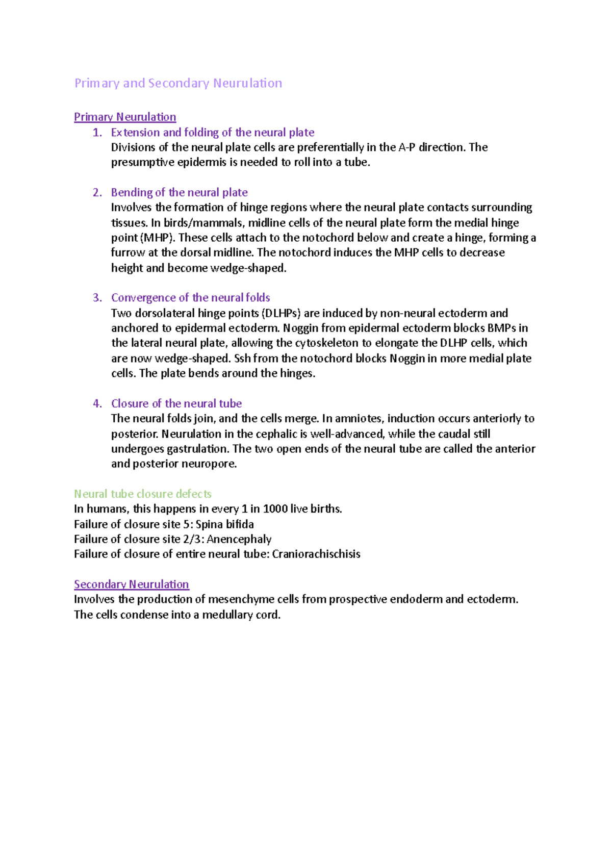 Primary And Secondary Neurulation Primary And Secondary Neurulation Primary Neurulation 1 