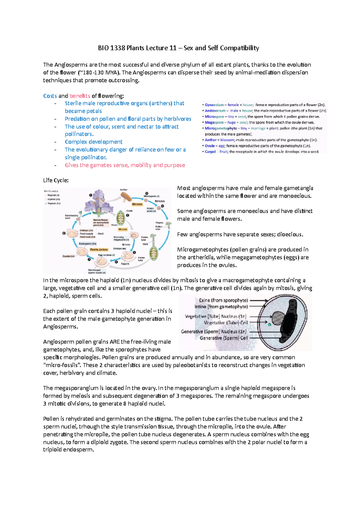 BIO 1338 Lecture 11 - Sex and Self Compatibility - BIO 1338 Plants ...