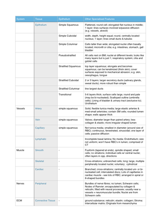 Histology. Gross description of specimen. - Write a gross description ...