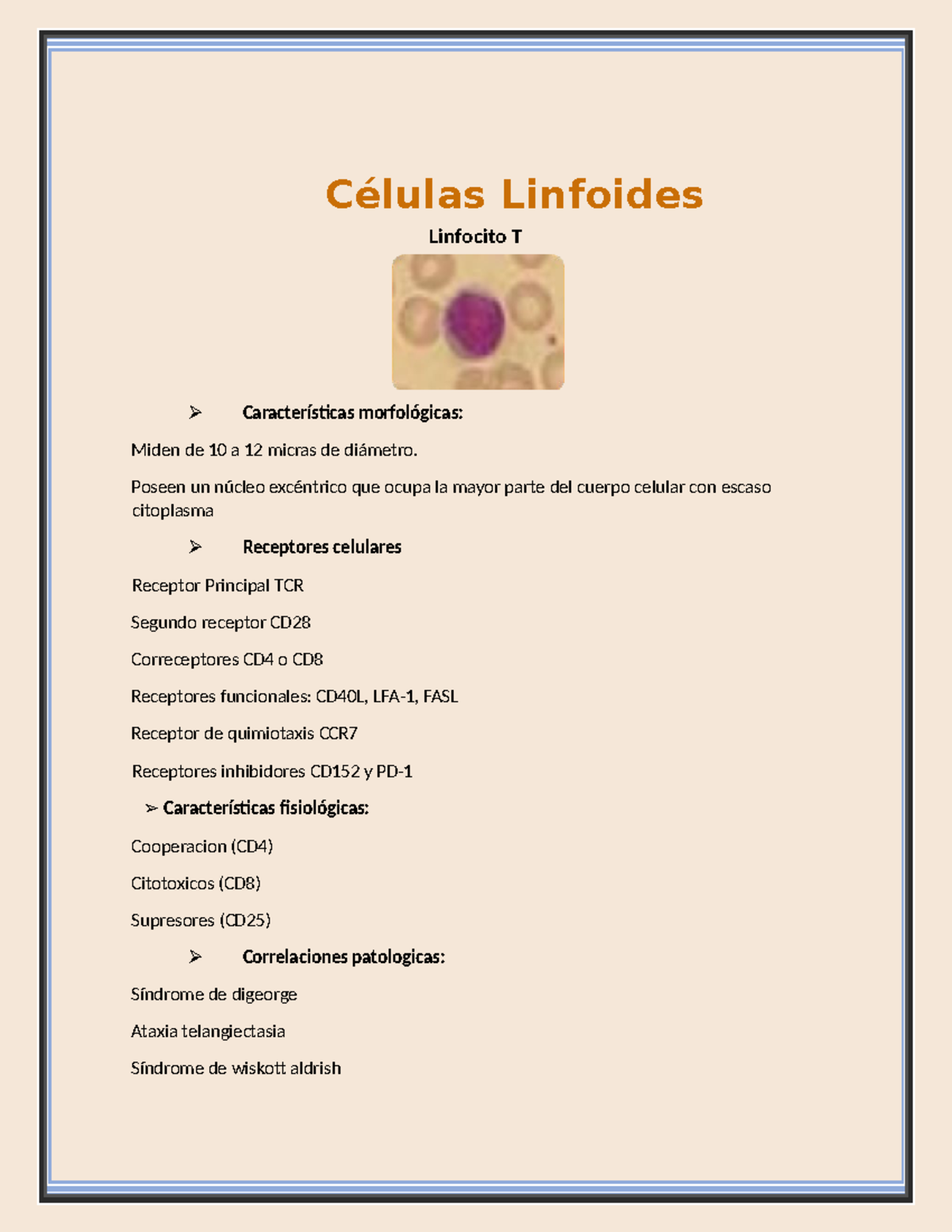Album celulas linfoides y vias - Células Linfoides Linfocito T ...
