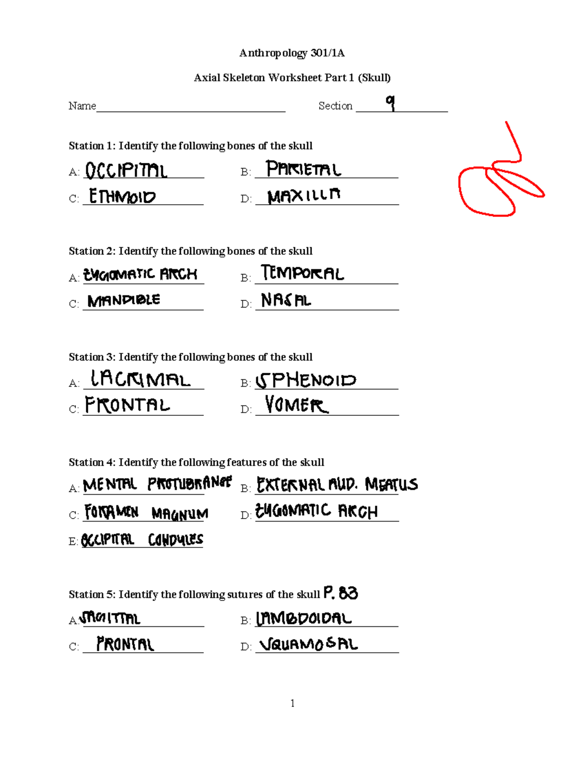 Worksheet Two - N/A - ####### 1 Anthropology 301/1A Axial Skeleton ...
