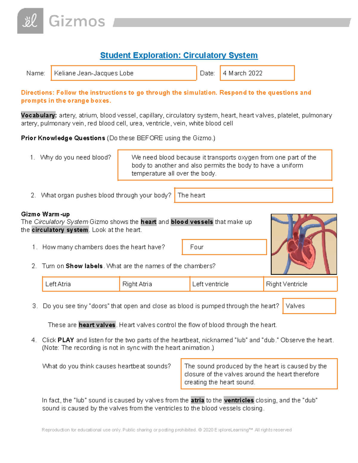 Copy of Circulatory System Gizmo Worksheet - Student Exploration ...