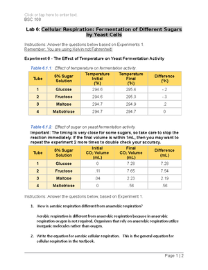 Lab-7-Mitosis-Meiosis-Lab-Worksheet 2023 - BSC 108 Lab 7: Mitosis and ...