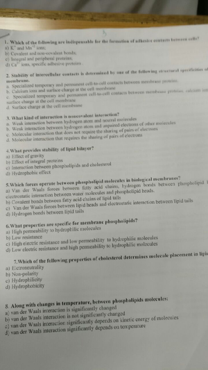 Lower limb - clinical anatomy - LOWER LIMB – Consists of the gluteus ...