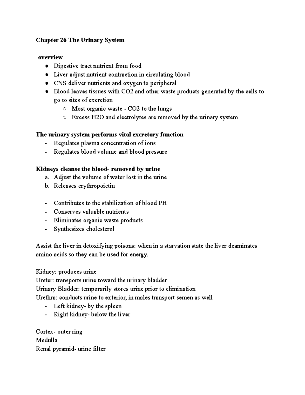 Chapter 26 The Urinary System - Chapter 26 The Urinary System -overview ...