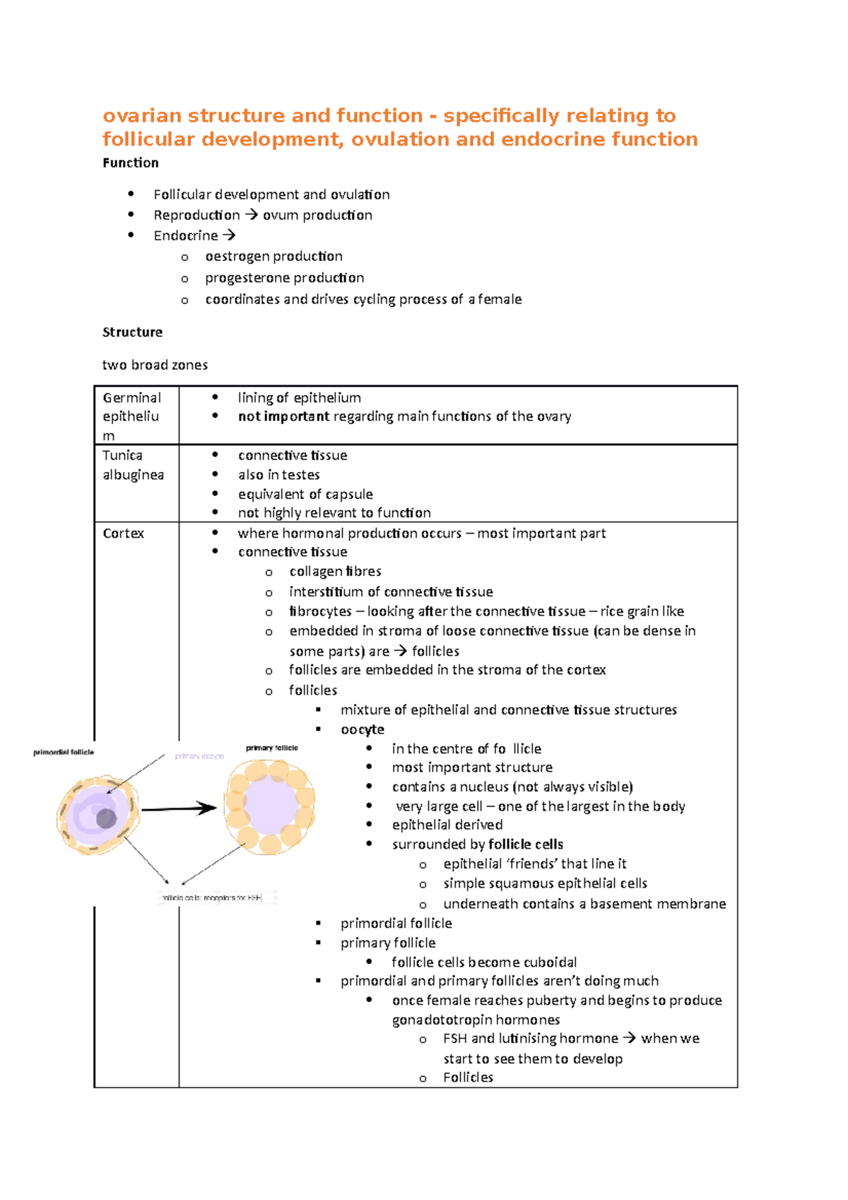 Ovary structure and function - ovarian structure and function ...