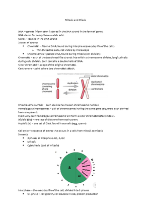 Cytoskeleton - The cytosol Gel-like, semifluid material that surrounds ...