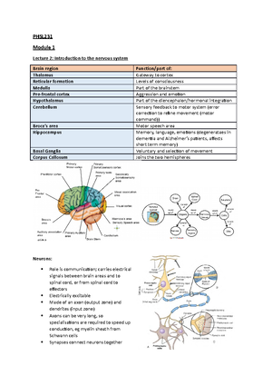 [Solved] true or false Only excitatory postsynaptic potentials can ...
