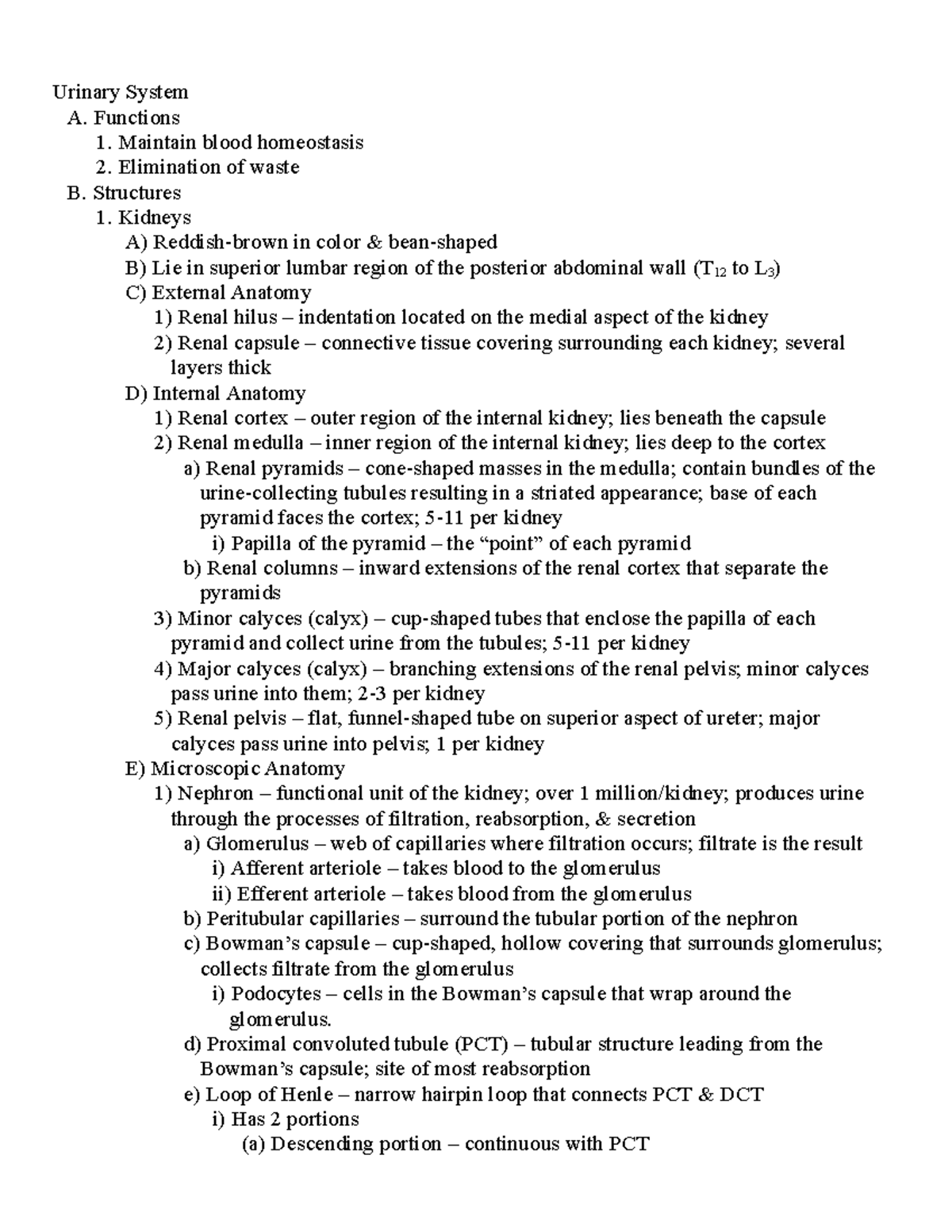 Anatomy & Physiology 2 Urinary System Notes Lecture Material - Urinary ...