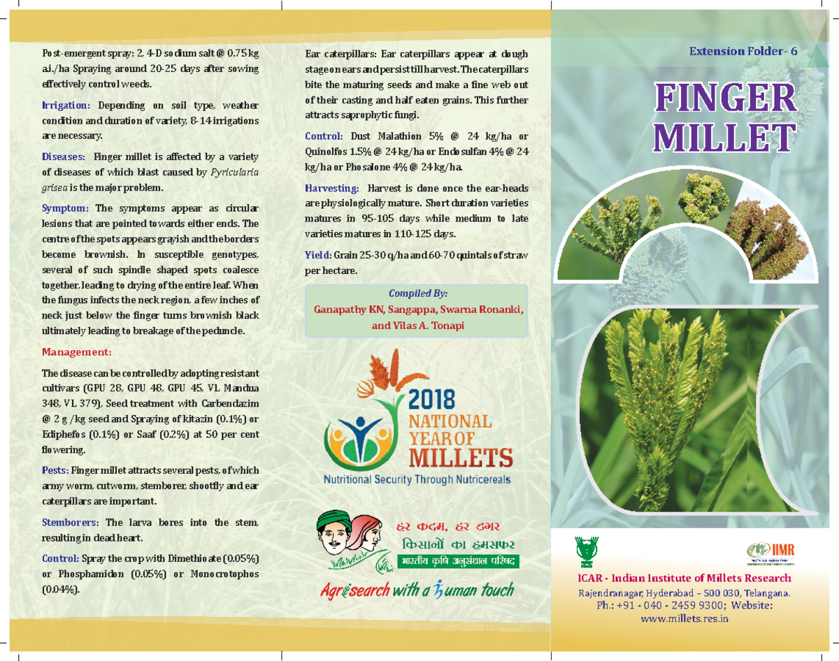 Finger Millet Cultivation Brochure - FINGER MILLET ICAR - Indian ...