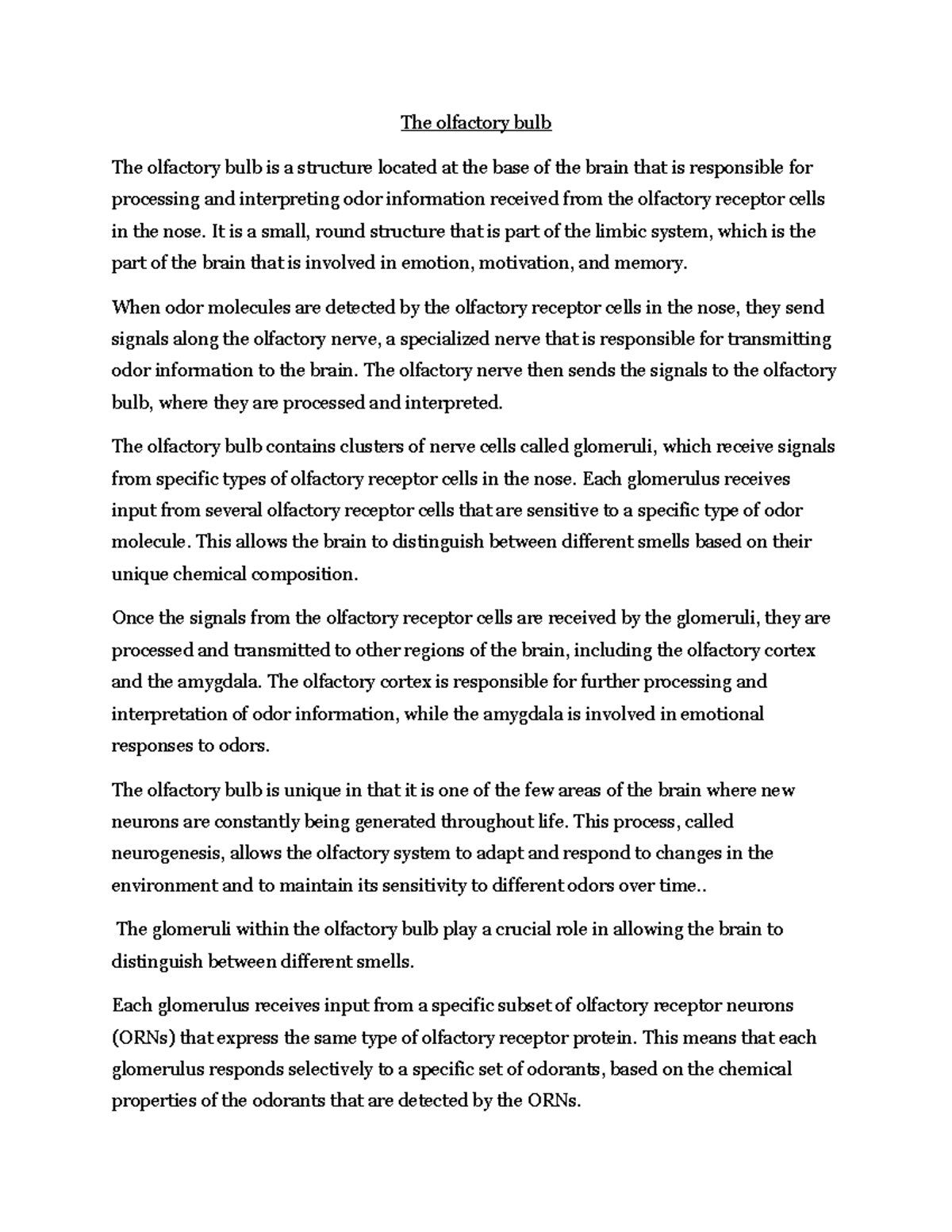 The olfactory bulb and the process of smell - The olfactory bulb The ...