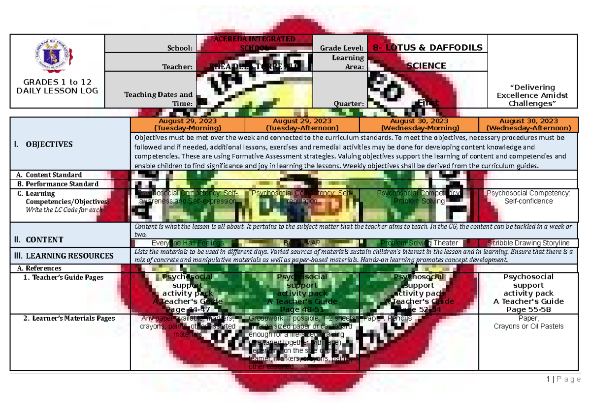 Psycho Social SUPPORT LESSON PLAN - GRADES 1 to 12 DAILY LESSON LOG ...