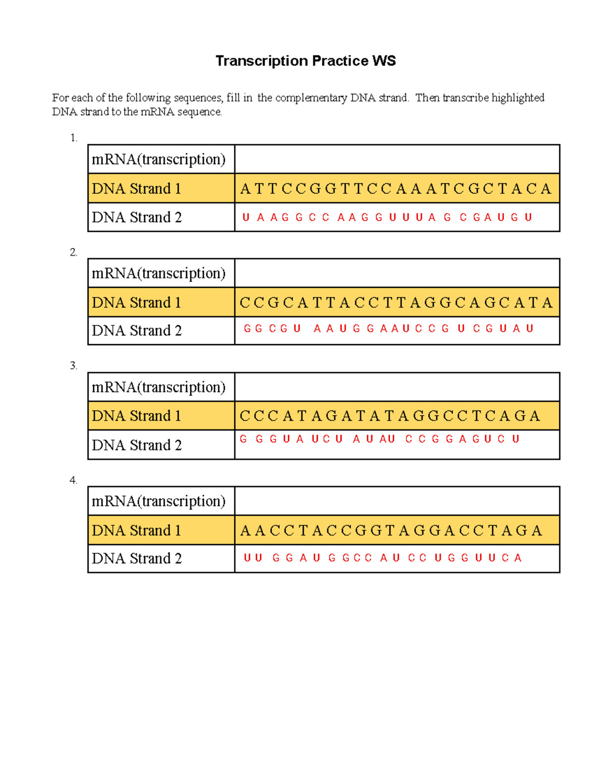 Transcription Practice Google Docs Transcription Practice WS For
