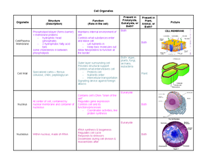 BIO 101 Lab 3, Macromolecules - upload their completed document as a ...