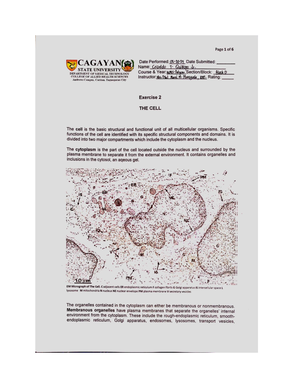 Chapter 2- Intro TO Urinalysis by Strasinger, 6th edition - AUBF ...