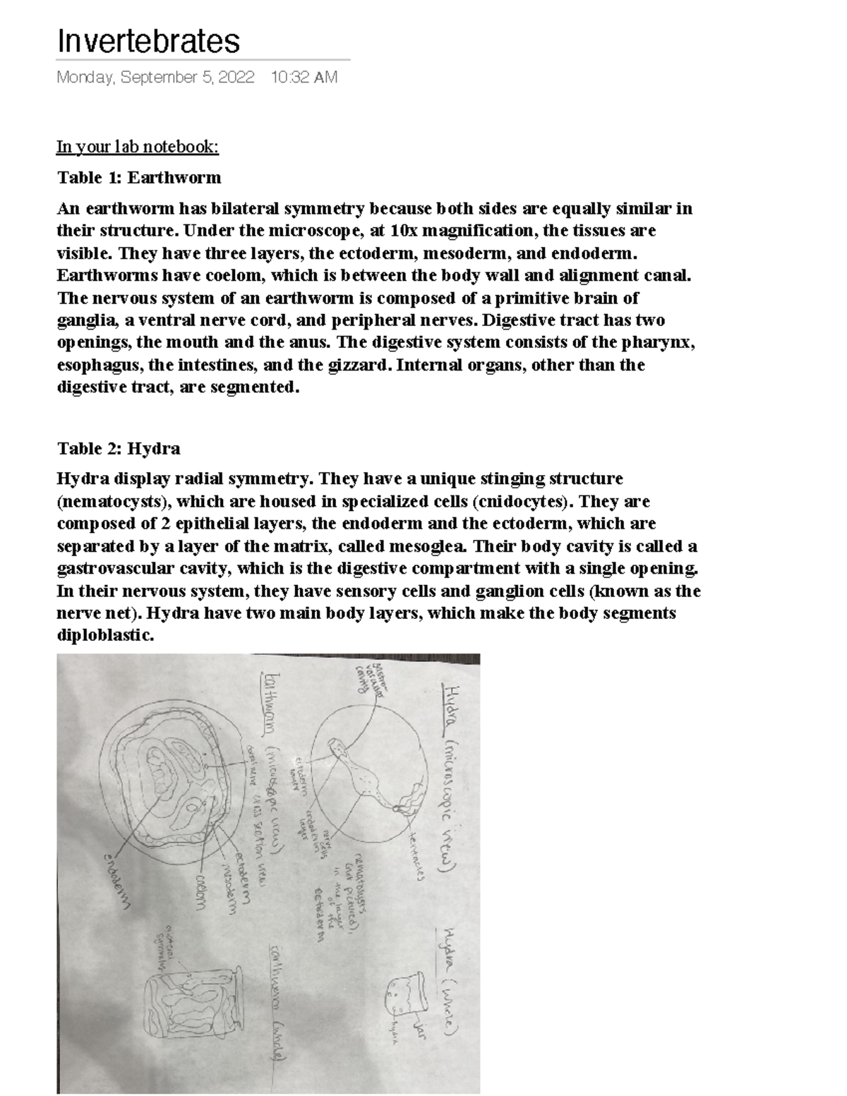Taxonomy lab 1 - Full work shown for a lab assignment along with grade ...