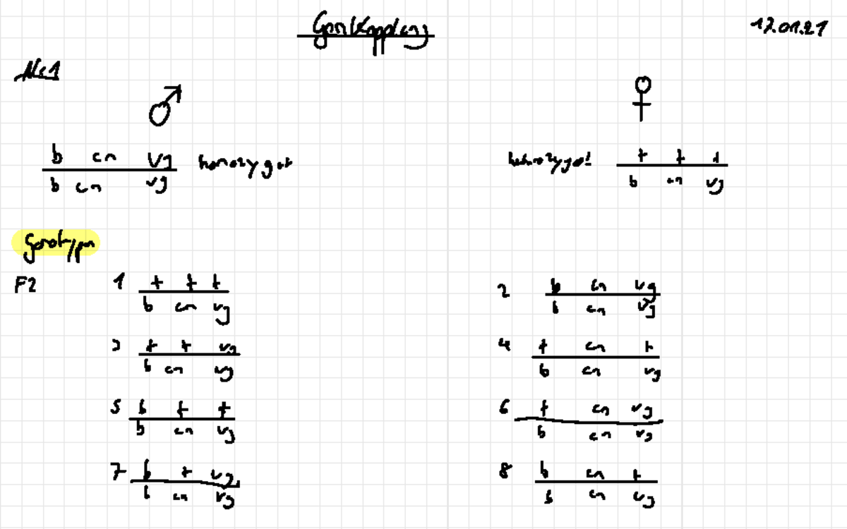 Bio Lk Genkopplung - Jjhhhhhh - Genkopplc ) NI μ O o t b