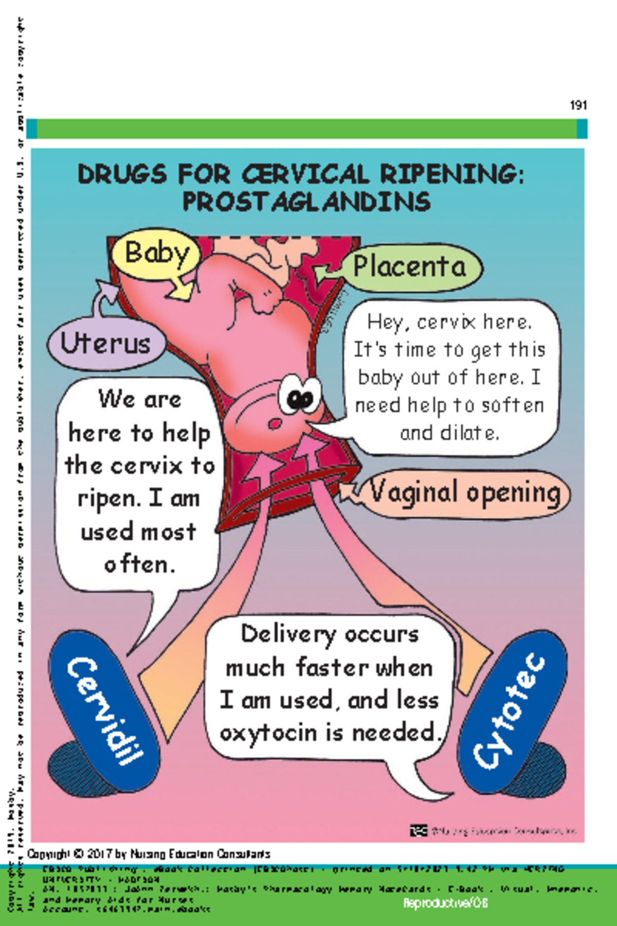 Reproductive OB - DRUGS FOR CERVICAL RIPENING: PROSTAGLANDINS Placenta ...