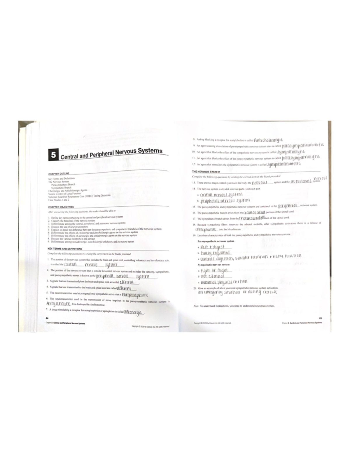 Rau’s ch. 5 workbook kailey ward - NURS 3110 - Studocu