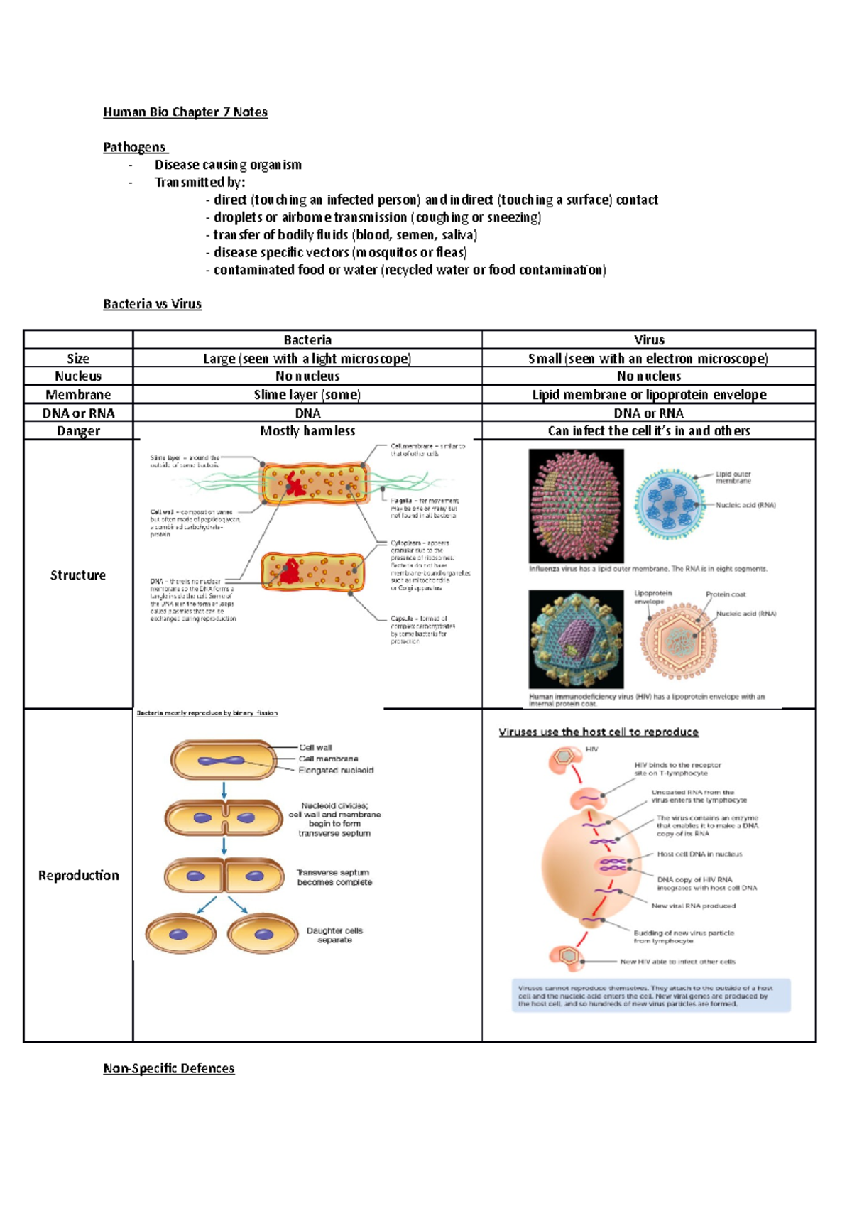 Human Bio Chapter 7 Notes - hbi100 - ECU - Studocu