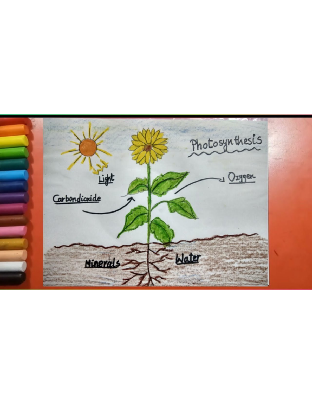 Photosynthesis - BY3CB1 - Studocu