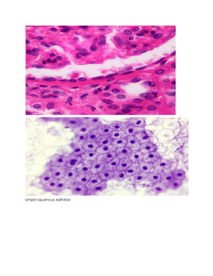 IB 1108 L01 Intro Sci - EXERCISE 1: DATA INTERPRETATION Dissolved oxygen is oxygen that is ...