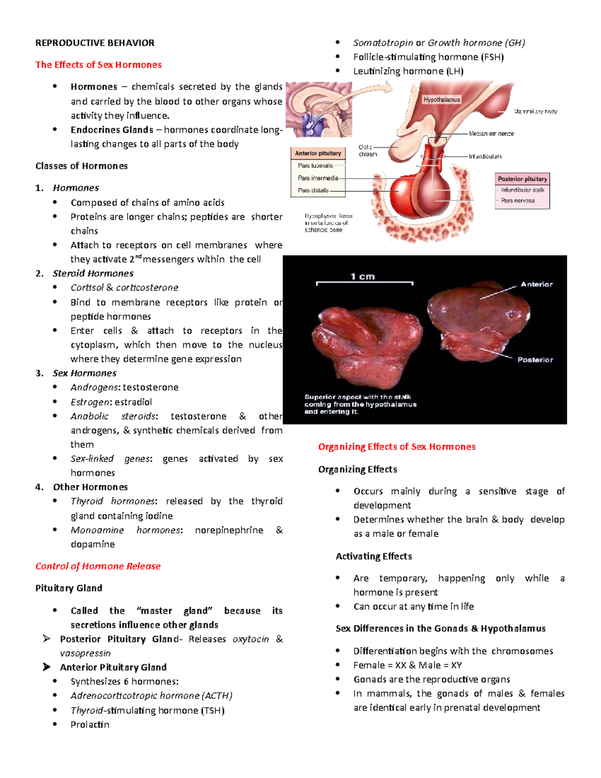 Reproductive- Behavior - REPRODUCTIVE BEHAVIOR The Effects of Sex ...