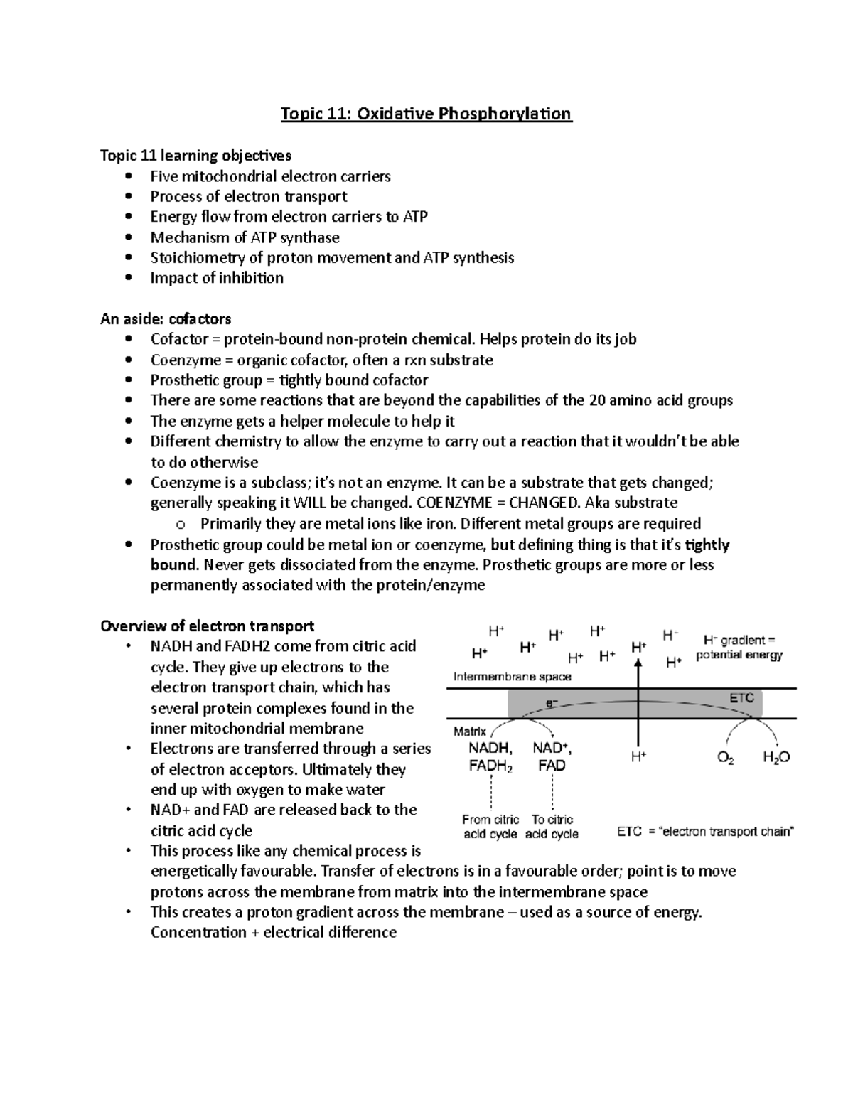 Topic-11 - Lecture notes 11 - Topic 11: Oxidative Phosphorylation Topic ...