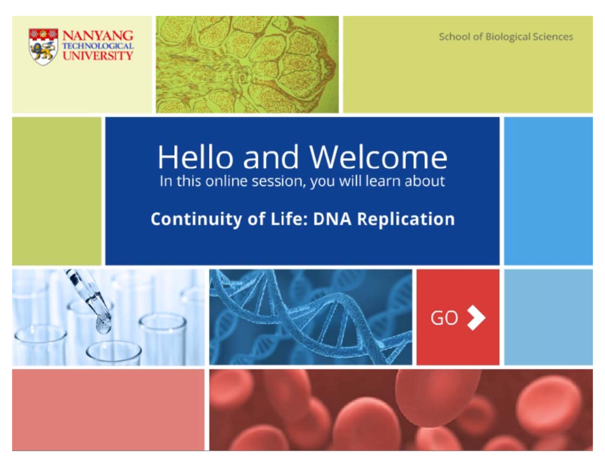 LO18 - Continuity of Life DNA Replication - BS1001 - Studocu