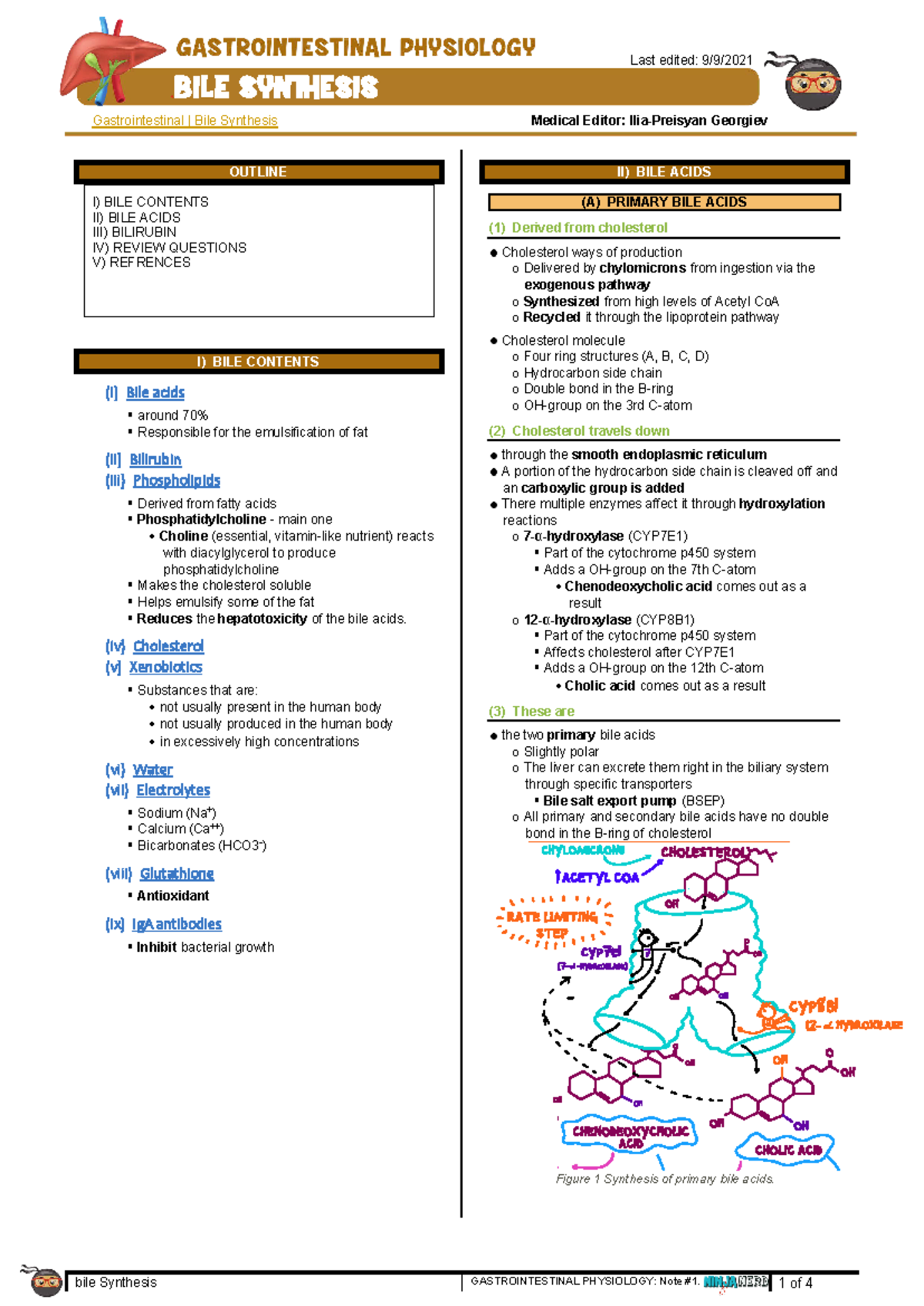 309 - Gastrointestinal Physiology] Bile Synthesis - bile Synthesis ...