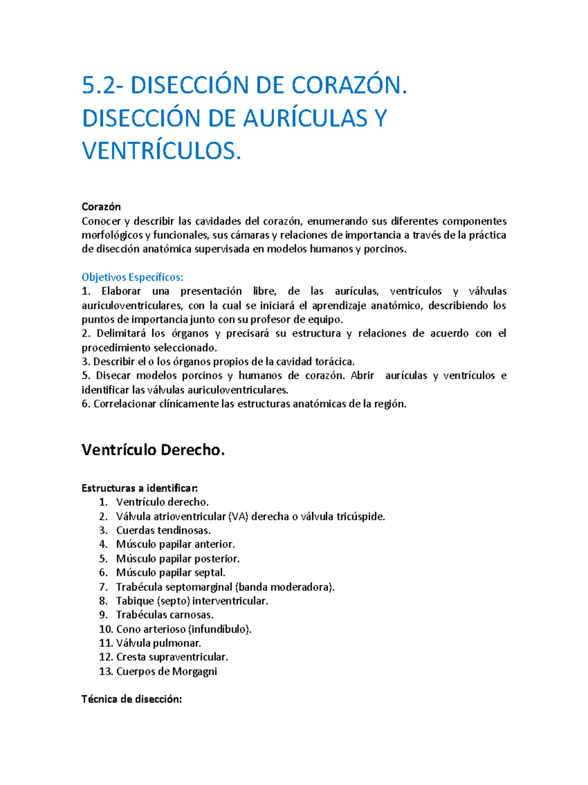 Corazón disecció 2 - 5- DISECCIÓN DE CORAZÓN. DISECCIÓN DE AURÍCULAS Y ...