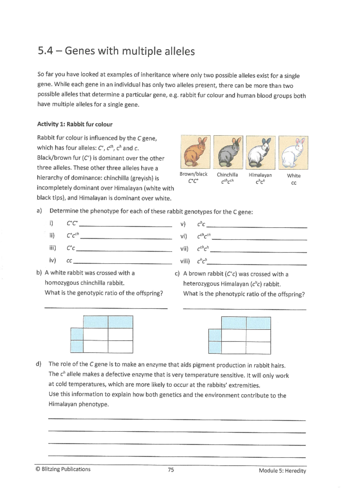 29.Genes with Multiple Alleles - 5 — Genes with multiple alleles ...