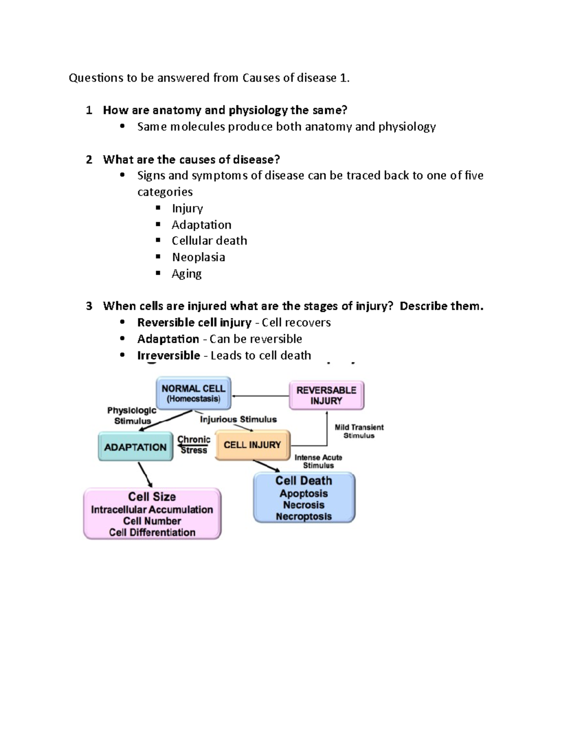 Questions to be answered from Causes of disease 1 - 1 How are anatomy ...