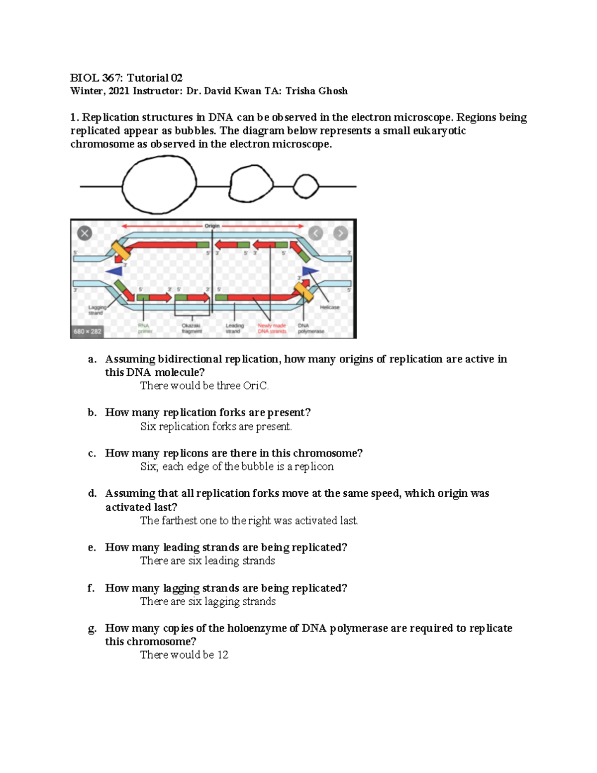 BIOL367 tutorail 2 - Tutorial - BIOL 367: Tutorial 02 Winter, 2021 ...