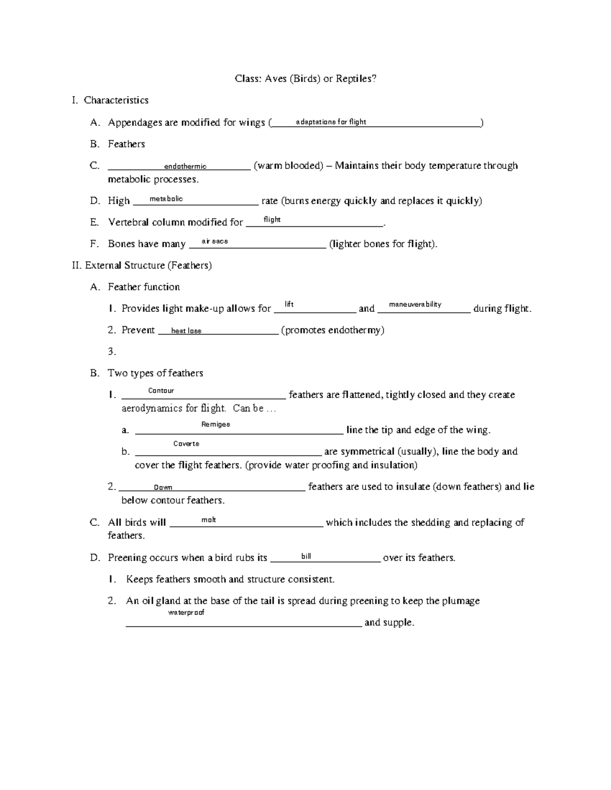 Kami+Export+-+Aves Guided Notes - Class: Aves (Birds) or Reptiles? I ...