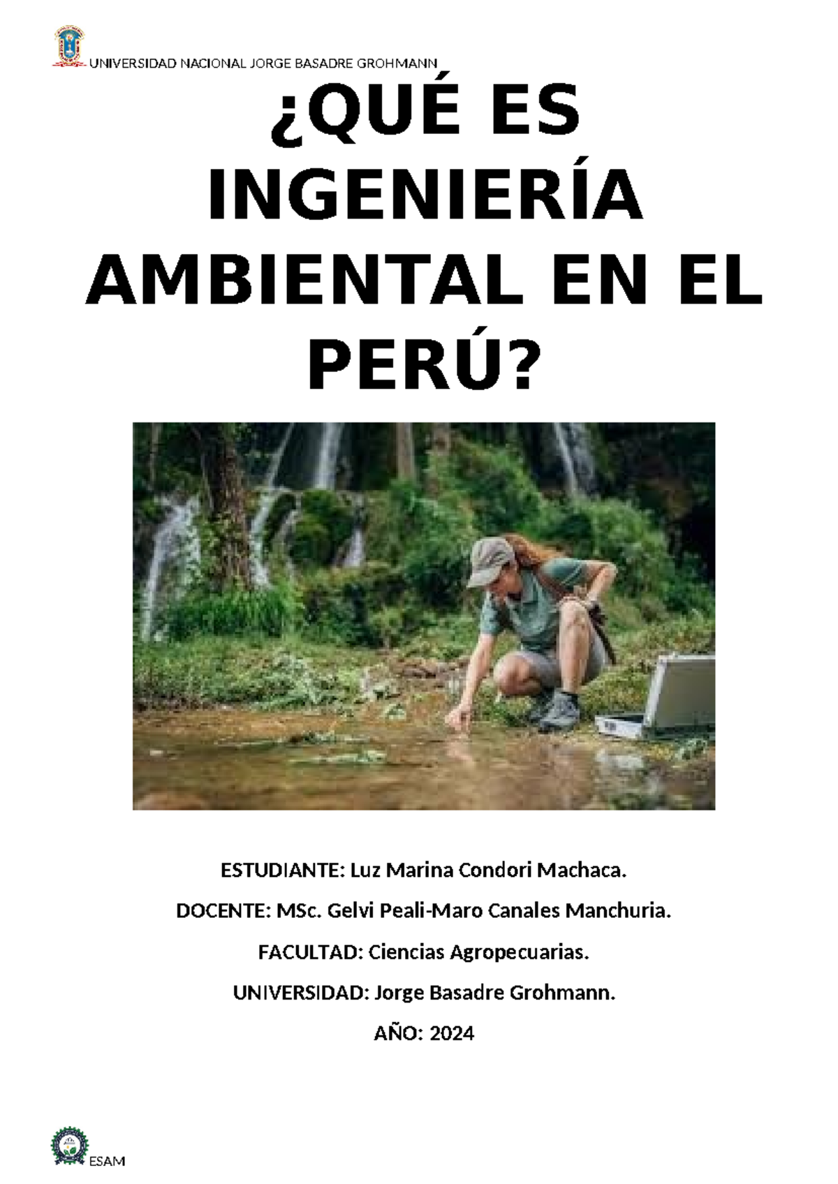 Ing. Amb. en el PERÚ - definiciones de ing. ambiental. - ¿QUÉ ES ...