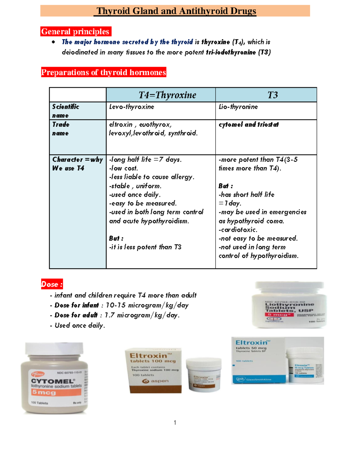 Thyroid Gland and Antithyroid Drugs - Thyroid Gland and Antithyroid ...