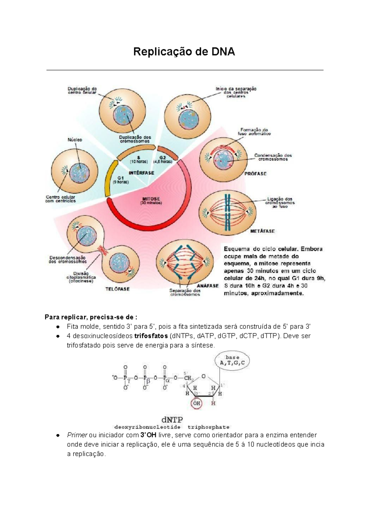 Replicação de DNA - Anotações de aula 1 - Replicação de DNA Para ...