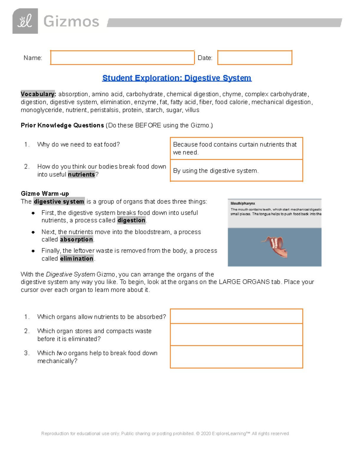 Samir Del Cid Martinez - Digestive System Gizmo - Name: Date: Student ...
