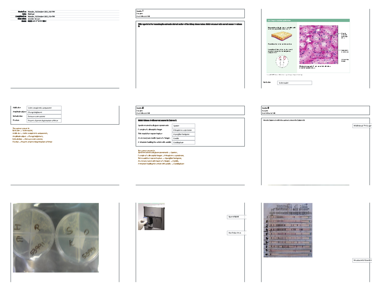 Practical Test Attempt review - Started on Monday, 10 October 2022, 2: ...