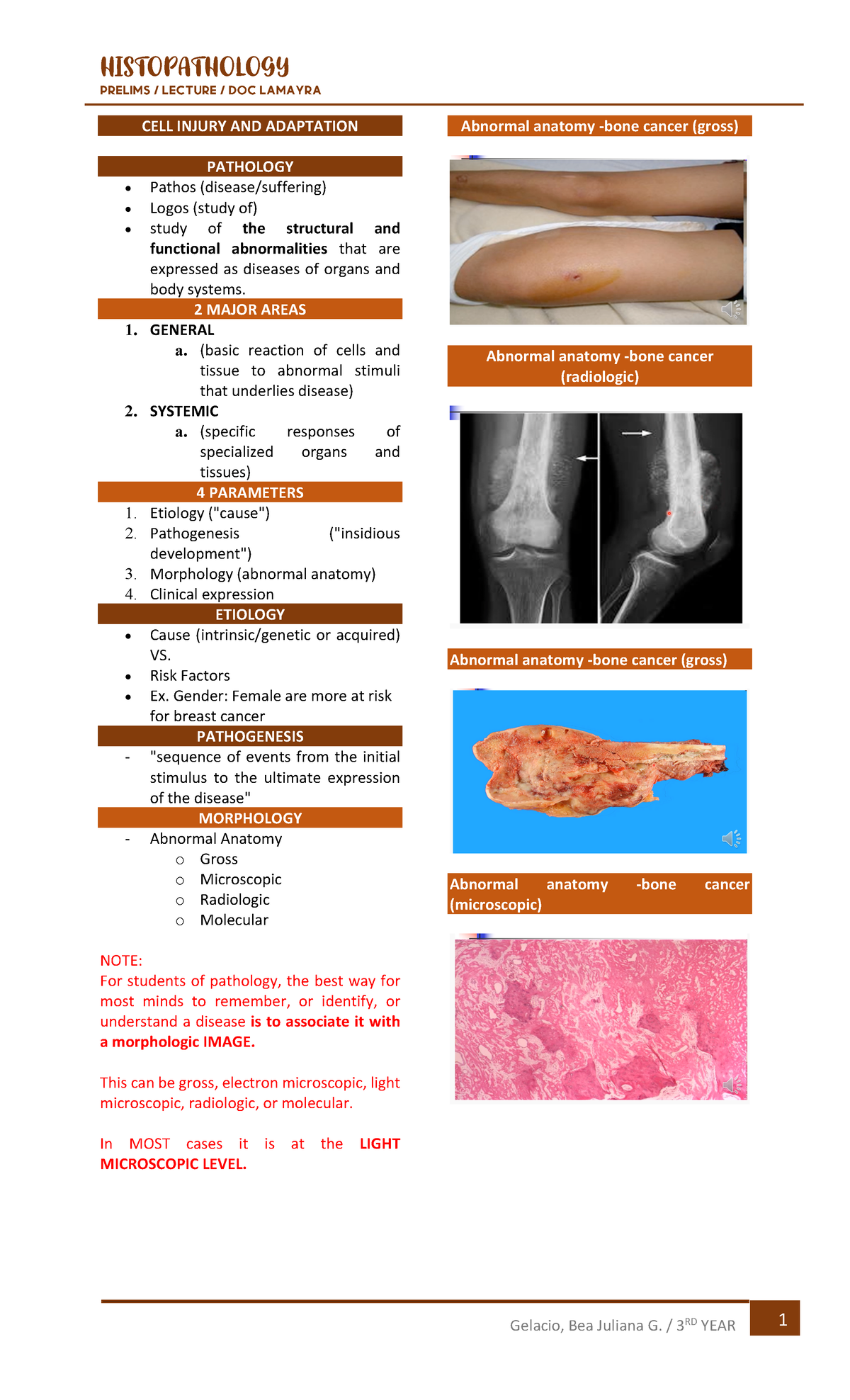 Histopath-LEC Prelims - Prelims / lecture / doc lamayra CELL INJURY AND ...