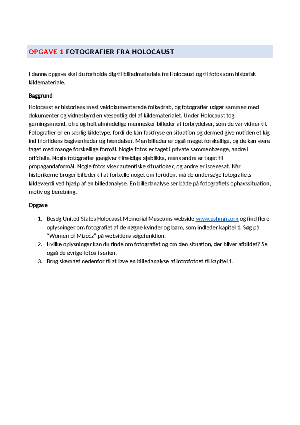 Kvinderne fra Mizocz (Opgave 1) - OPGAVE 1 FOTOGRAFIER FRA HOLOCAUST I ...