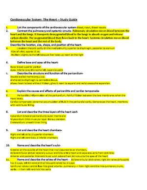 Blood Circulation - **Blood Vessels and Circulation - Study Guide ...