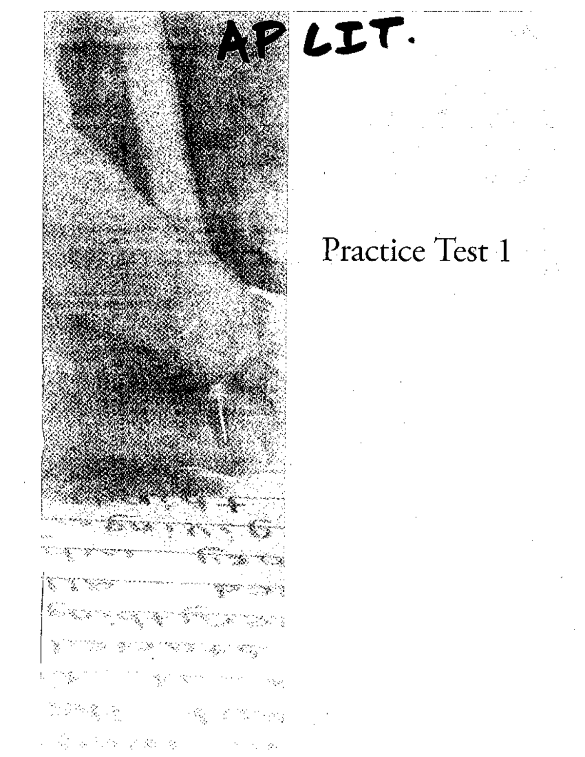 Ap Lit Practice Test LIT 1000 Studocu