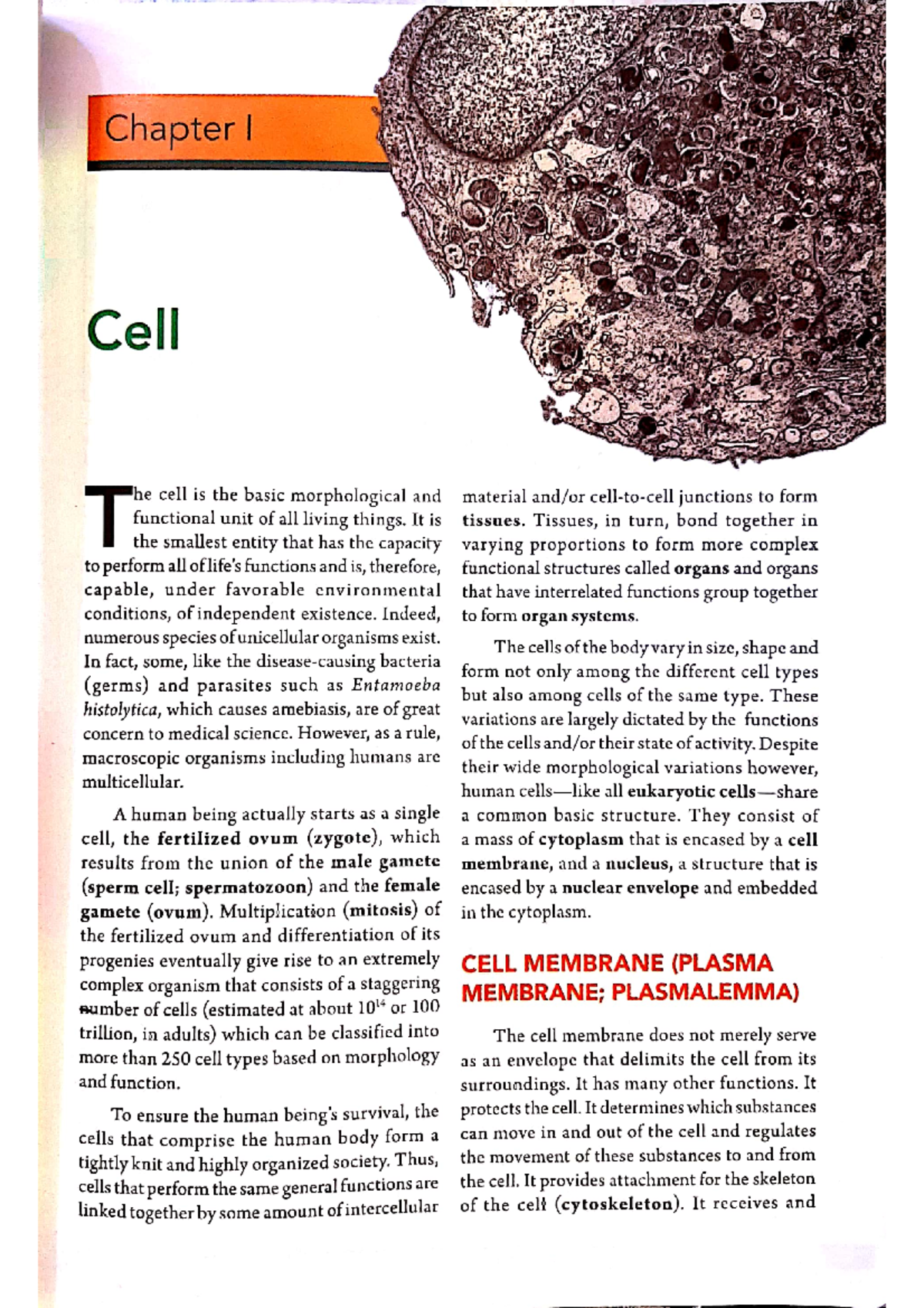Chapter-1-CELL - none - Medical Surgical - Studocu