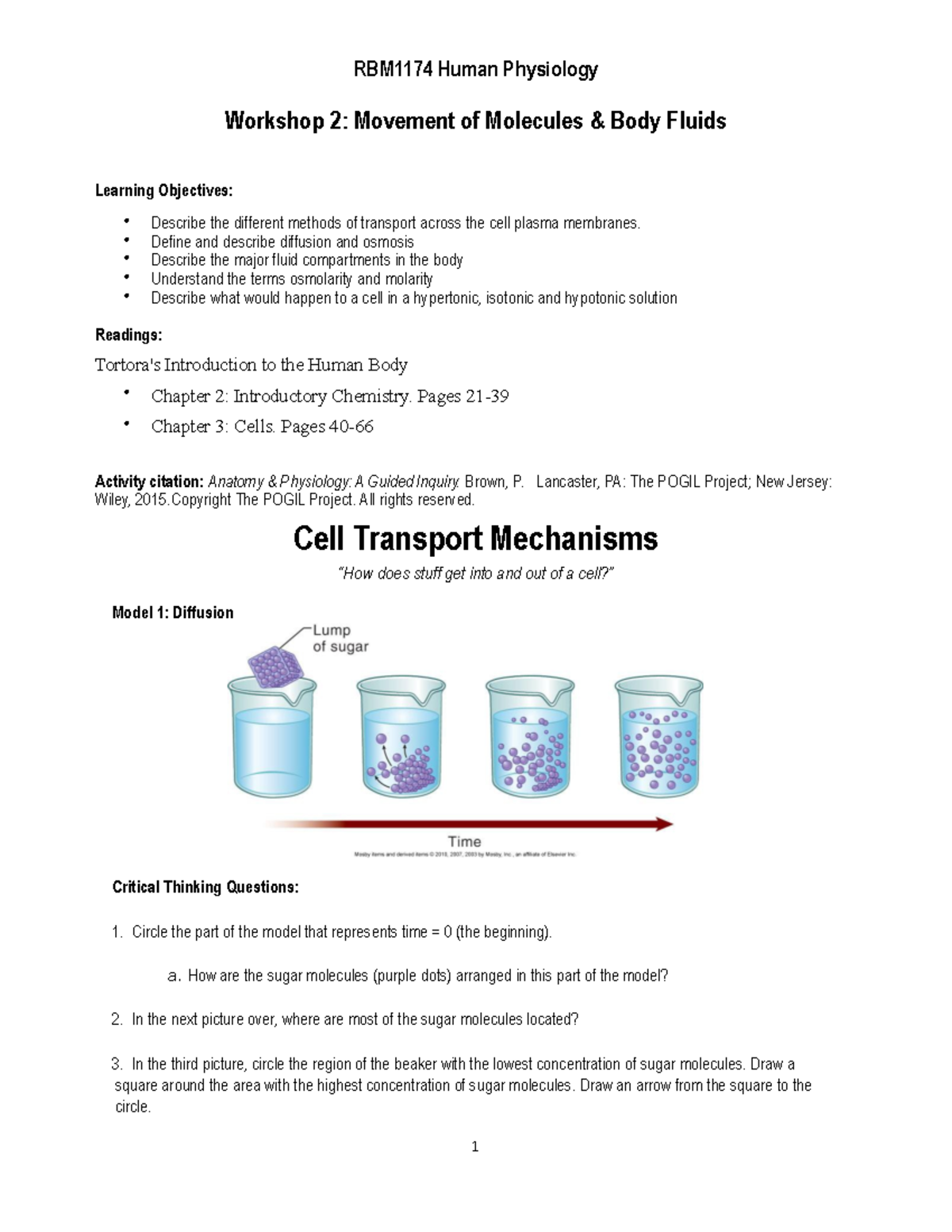 Workshop 2 - Movement of Molecules & Body Fluids 2020 - Workshop 2 ...