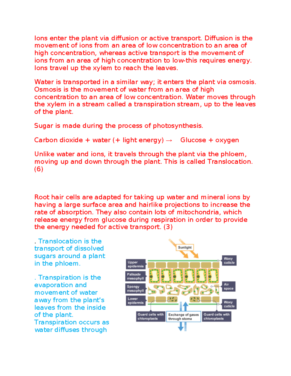 BIO first test rev - dededed - Ions enter the plant via diffusion or ...